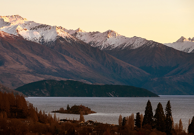 Site Plan | Top Paddock Wanaka