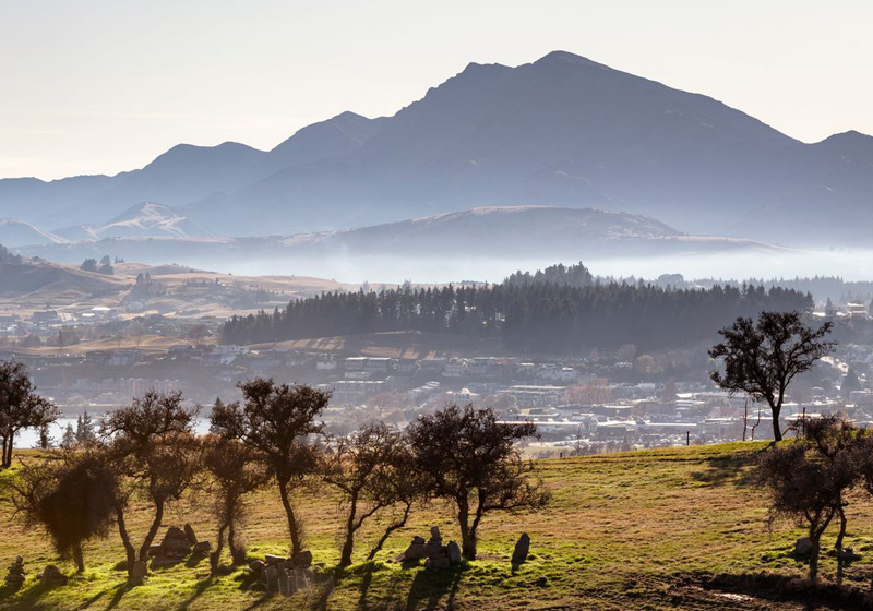 Site Plan | Top Paddock Wanaka