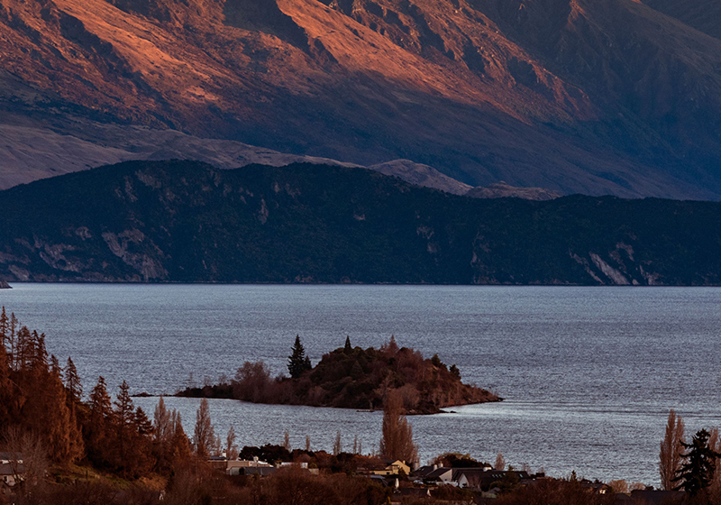 Site Plan | Top Paddock Wanaka