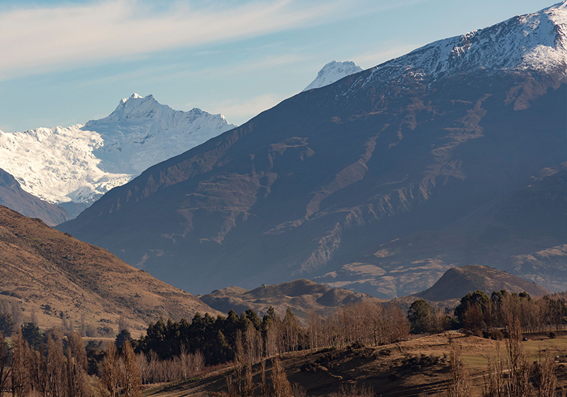 Site Plan | Top Paddock Wanaka